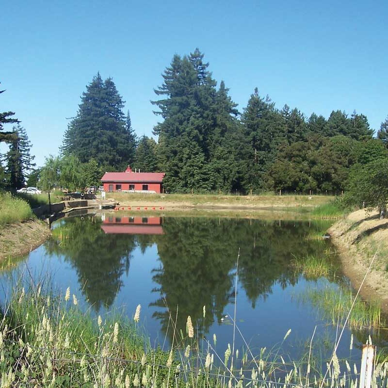 The Land - Our Campus - Mount Madonna