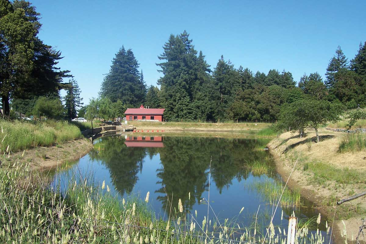 The Land - Our Campus - Mount Madonna