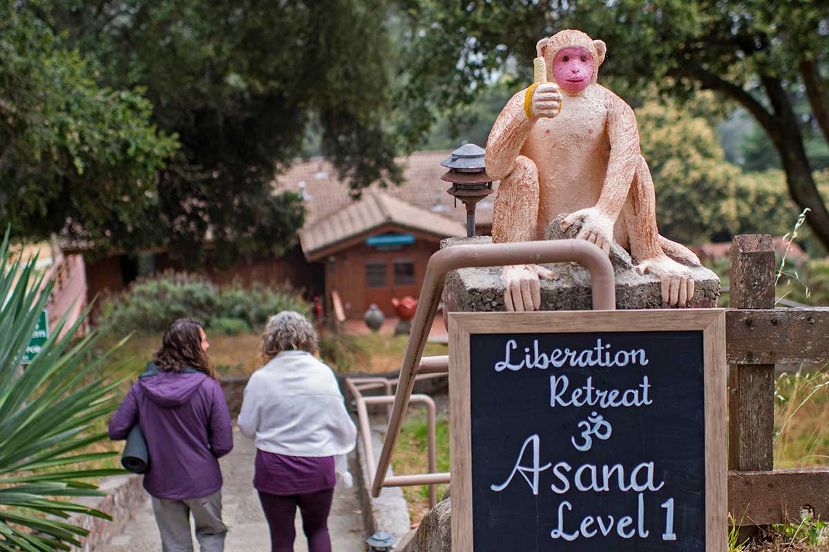 Liberation Yoga Retreat - Mount Madonna