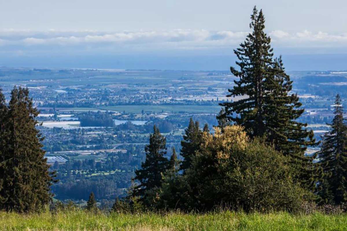 Liberation Yoga Retreat - Mount Madonna